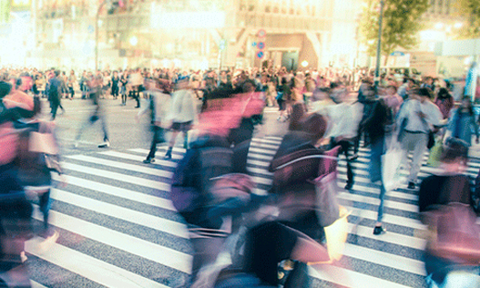 Migration Paths: How Do Highly Skilled Workers Make Their Way to Canada?